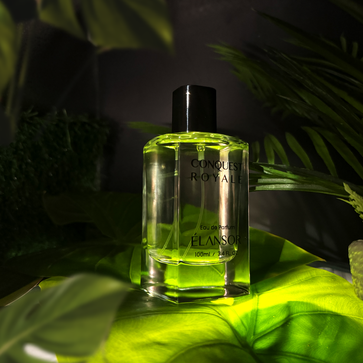 Conquest Royale by Élansor – Long-Lasting Woody & Fruity Perfume for ...